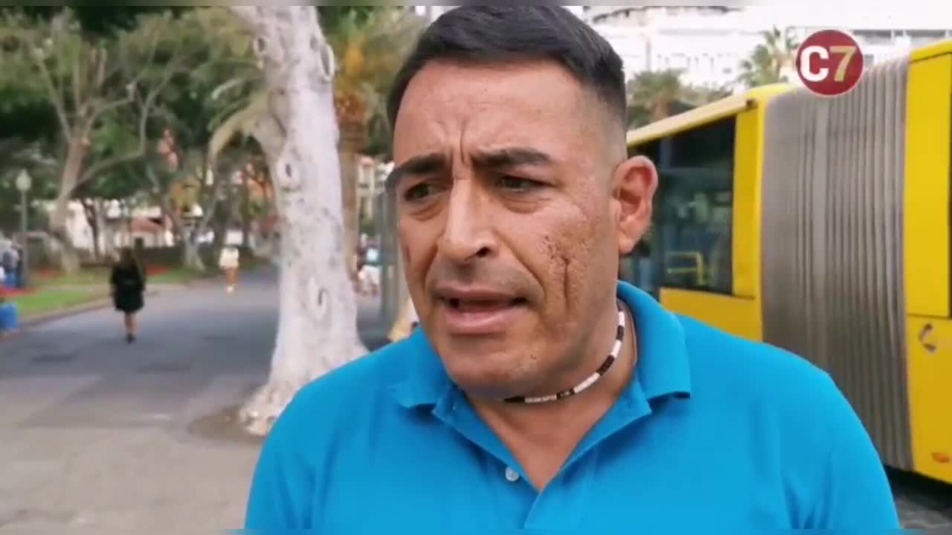 Viajes gratis en guagua este 2023 | Canarias7
