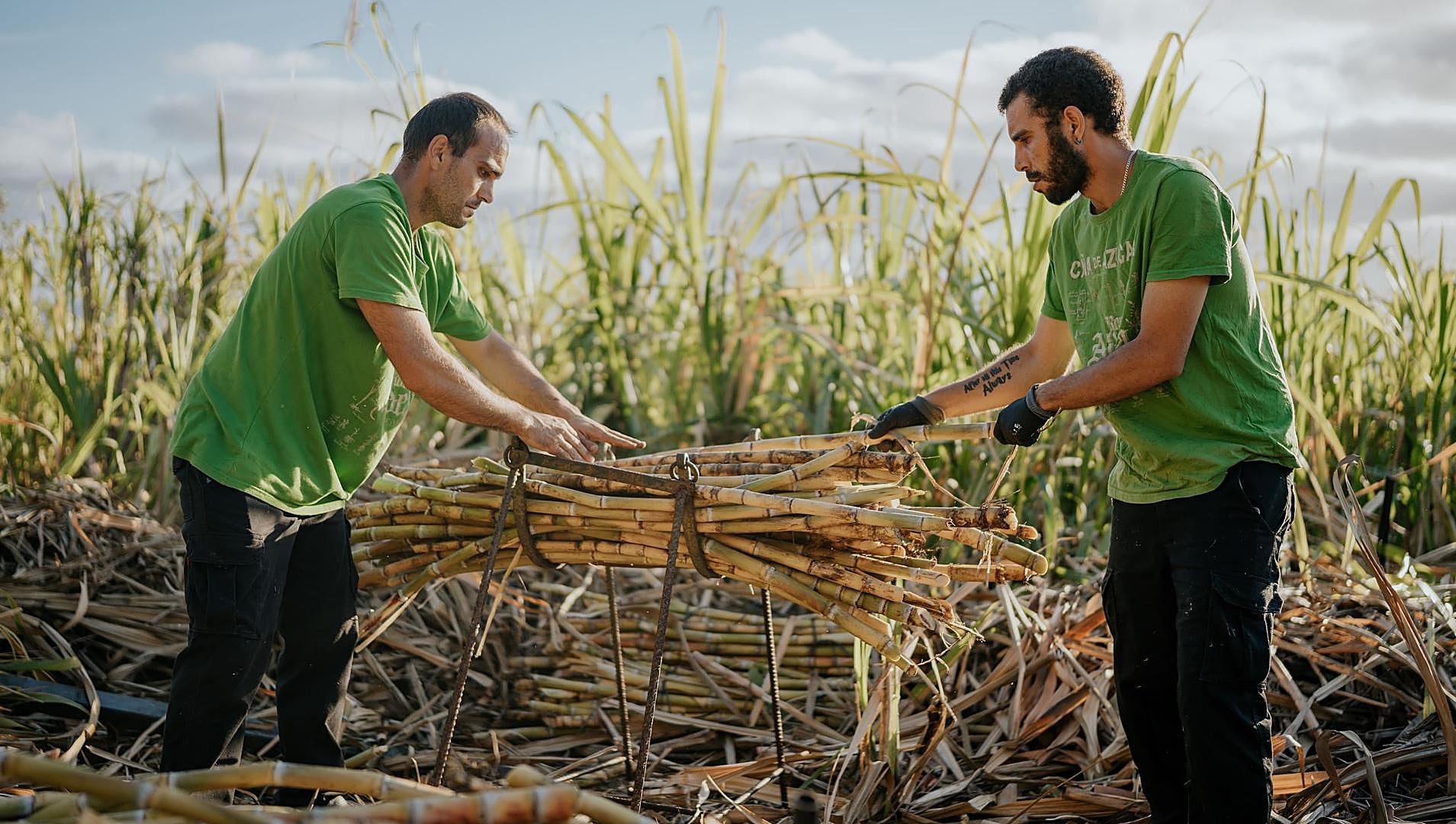 Un ron canario apasiona a una revista francesa | Canarias7