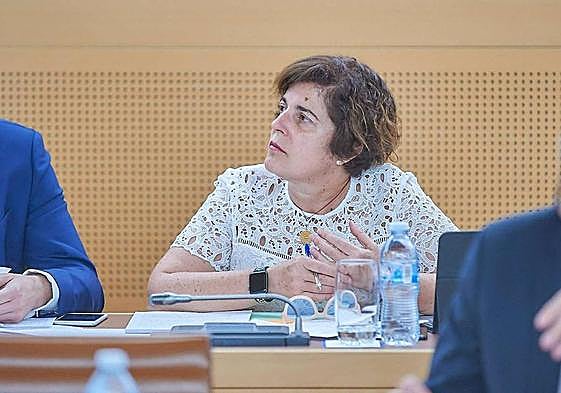Juana de la Rosa, nueva directora general de Infancia | Canarias7