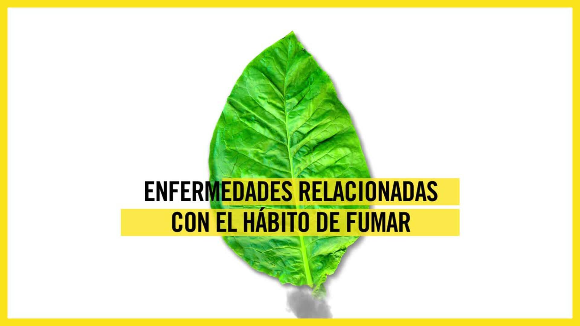 Por un futuro sin humo, philip morris | Canarias7