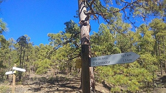 Arico, últimas noticias - Canarias7