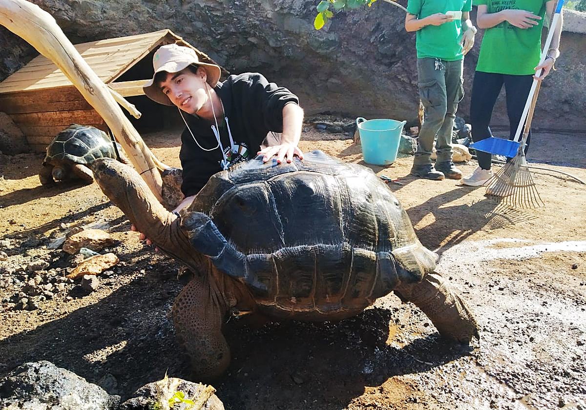 A cuidar una tortuga terrestre gigante se aprende así en Fuerteventura ...