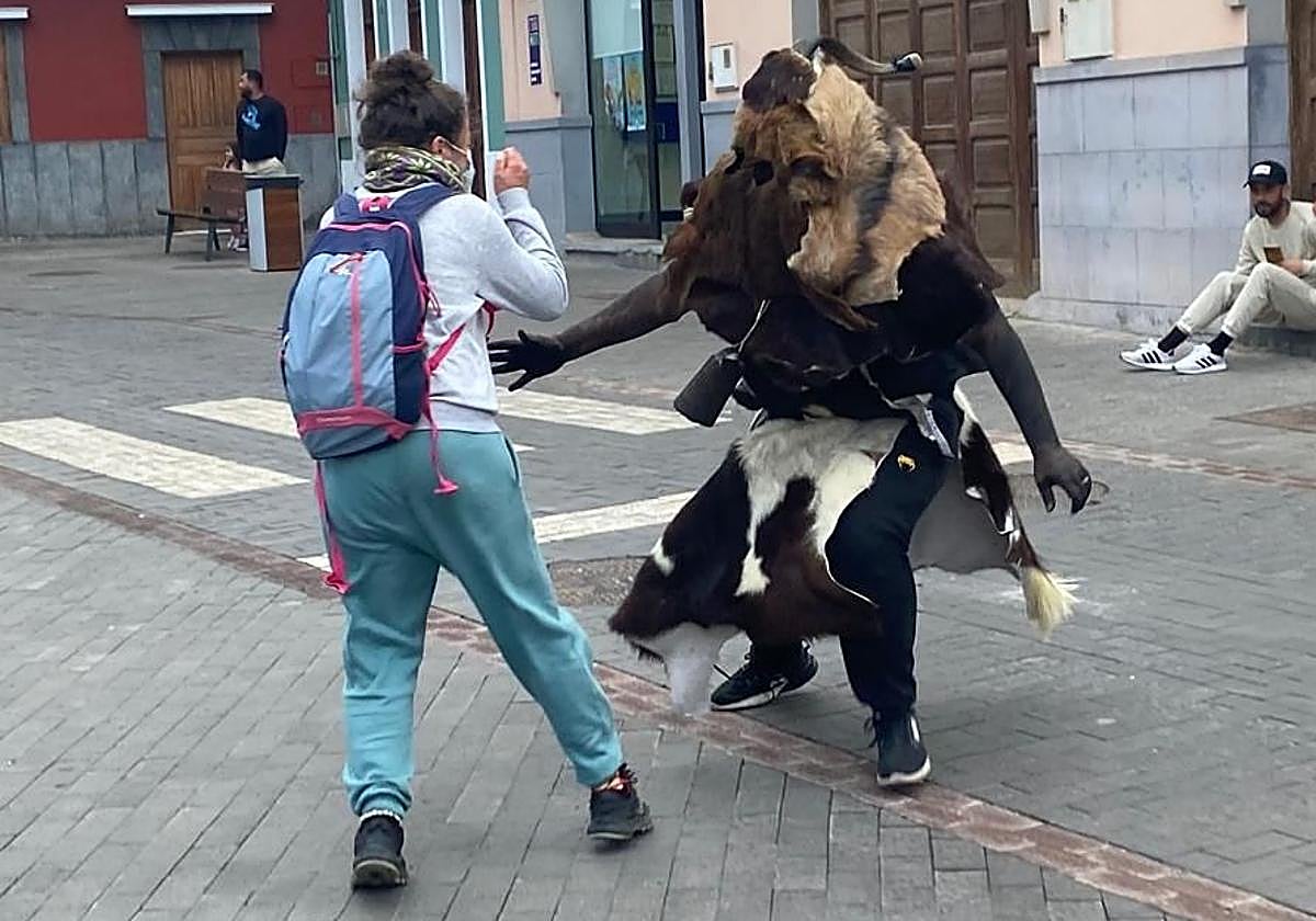 Cabras y machos ya están listos: el 17 de febrero tomarán las calles ...