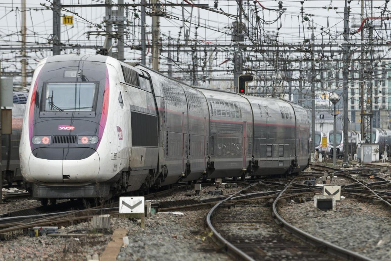 El primer rival de Renfe será 'low cost' y de origen francés | Diario Sur