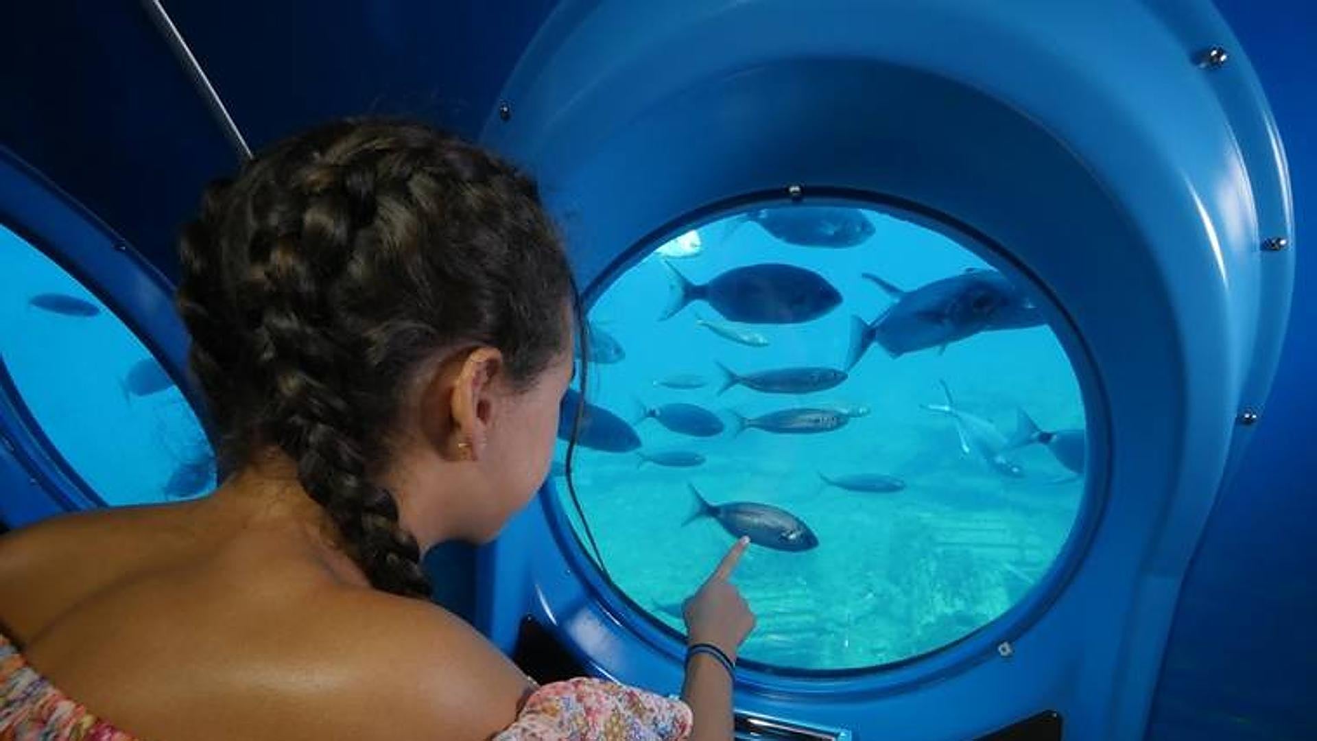 Así son los submarinos turísticos que operan en España | Diario Sur