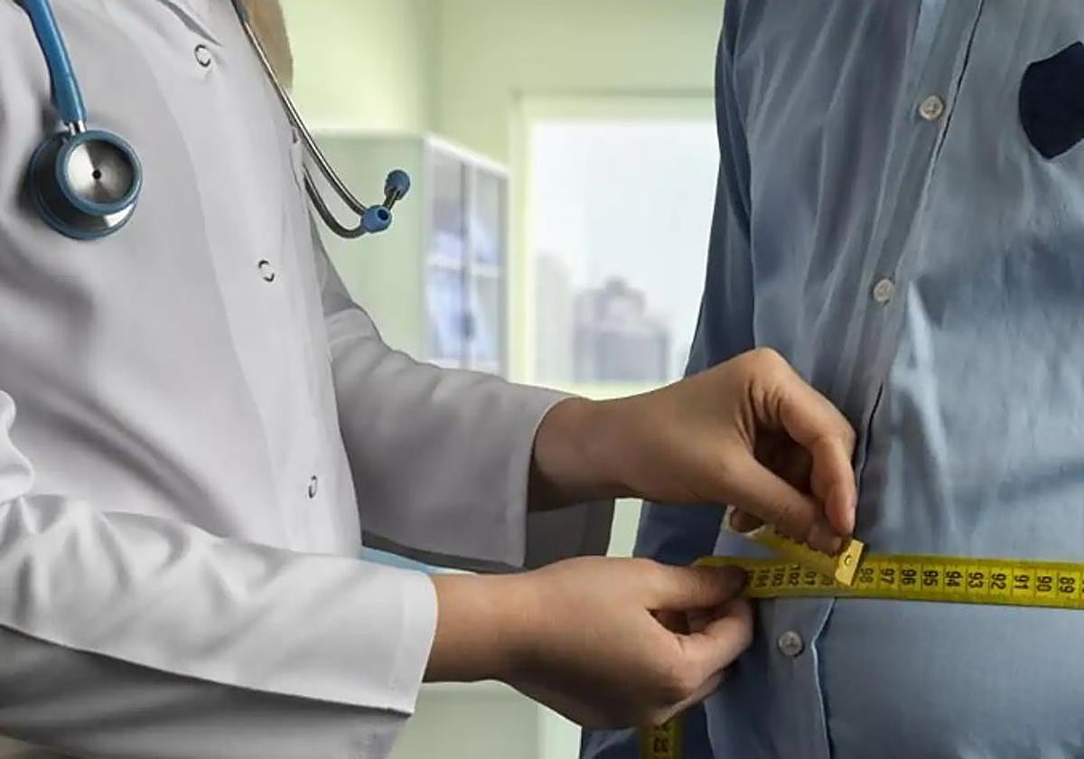 La proteína Dido1, que puede prevenir la obesidad, descubierta por ...