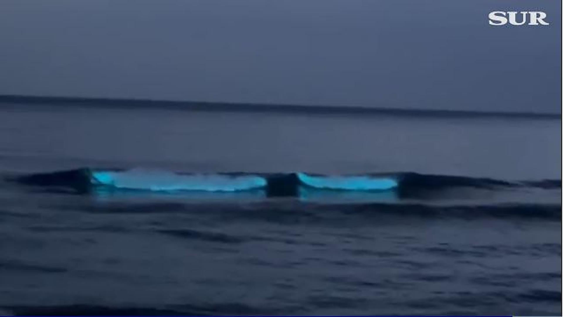 ¿Por qué hay olas brillantes de color azul en las playas de Rincón ...