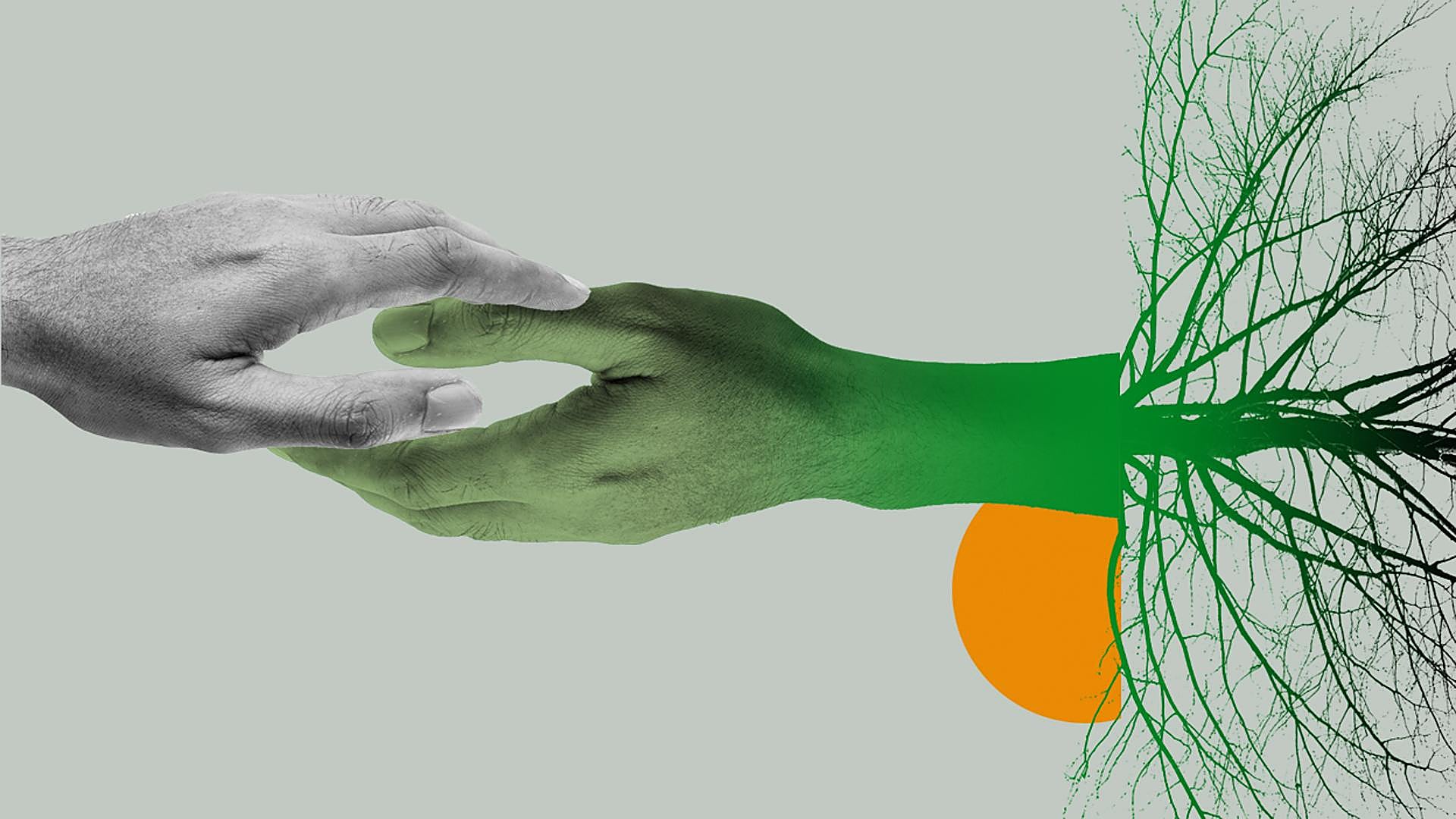 Manolo Castillo: Elogio de la juventud | Diario Sur