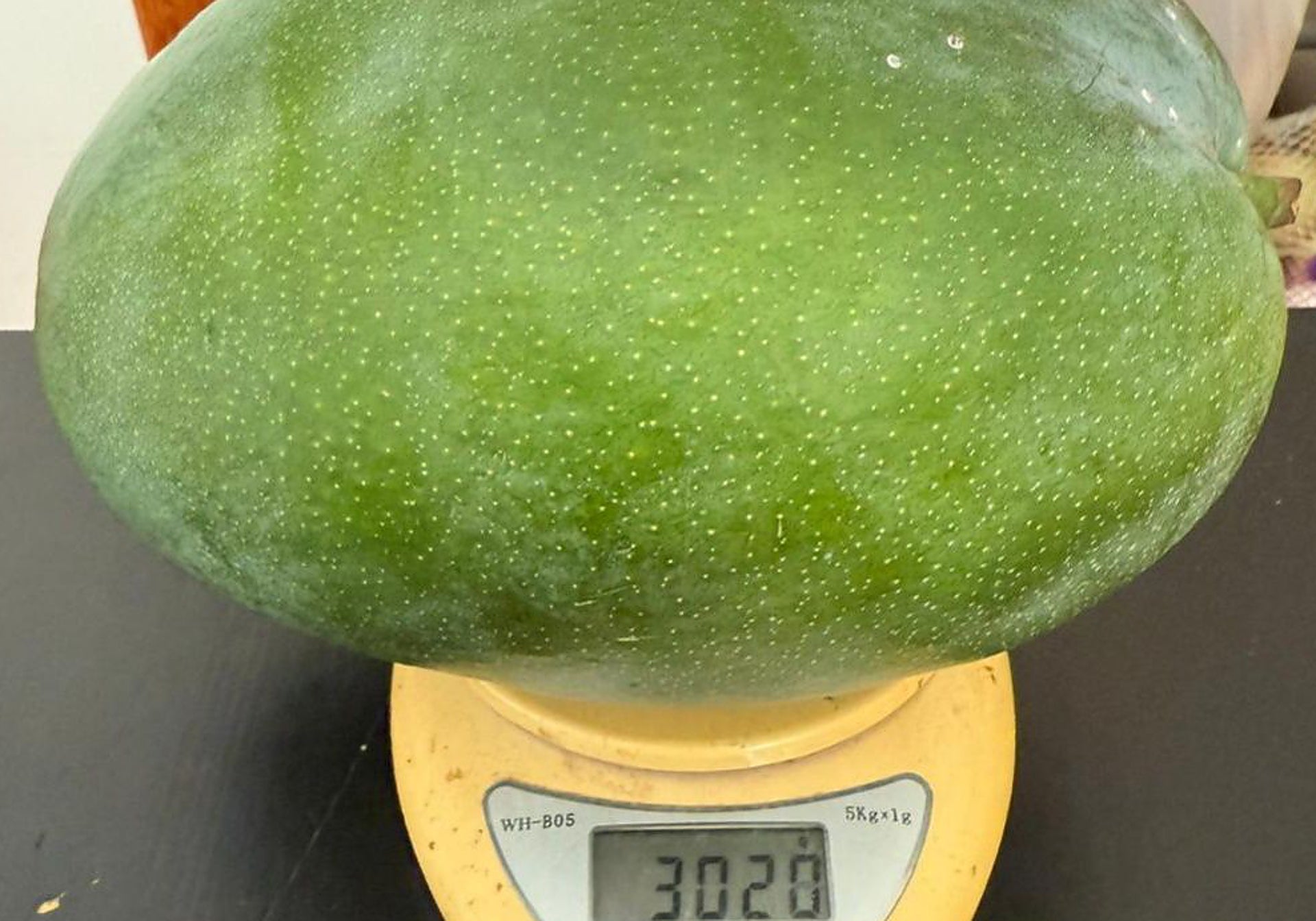 'Jack Fruit', la monstruosa fruta tropical que alcanza los 40 kilos y ...
