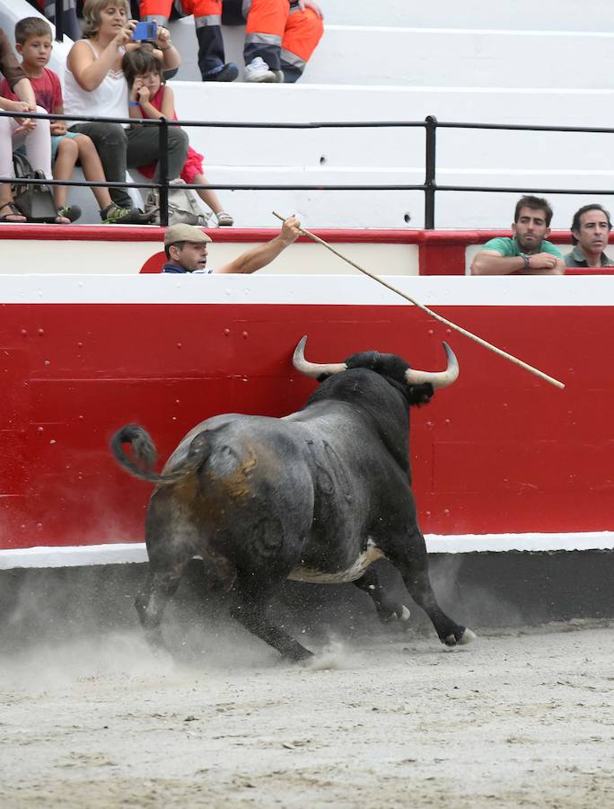 Fotos: Desencajonamiento de los toros en Azpeitia | El Diario Vasco