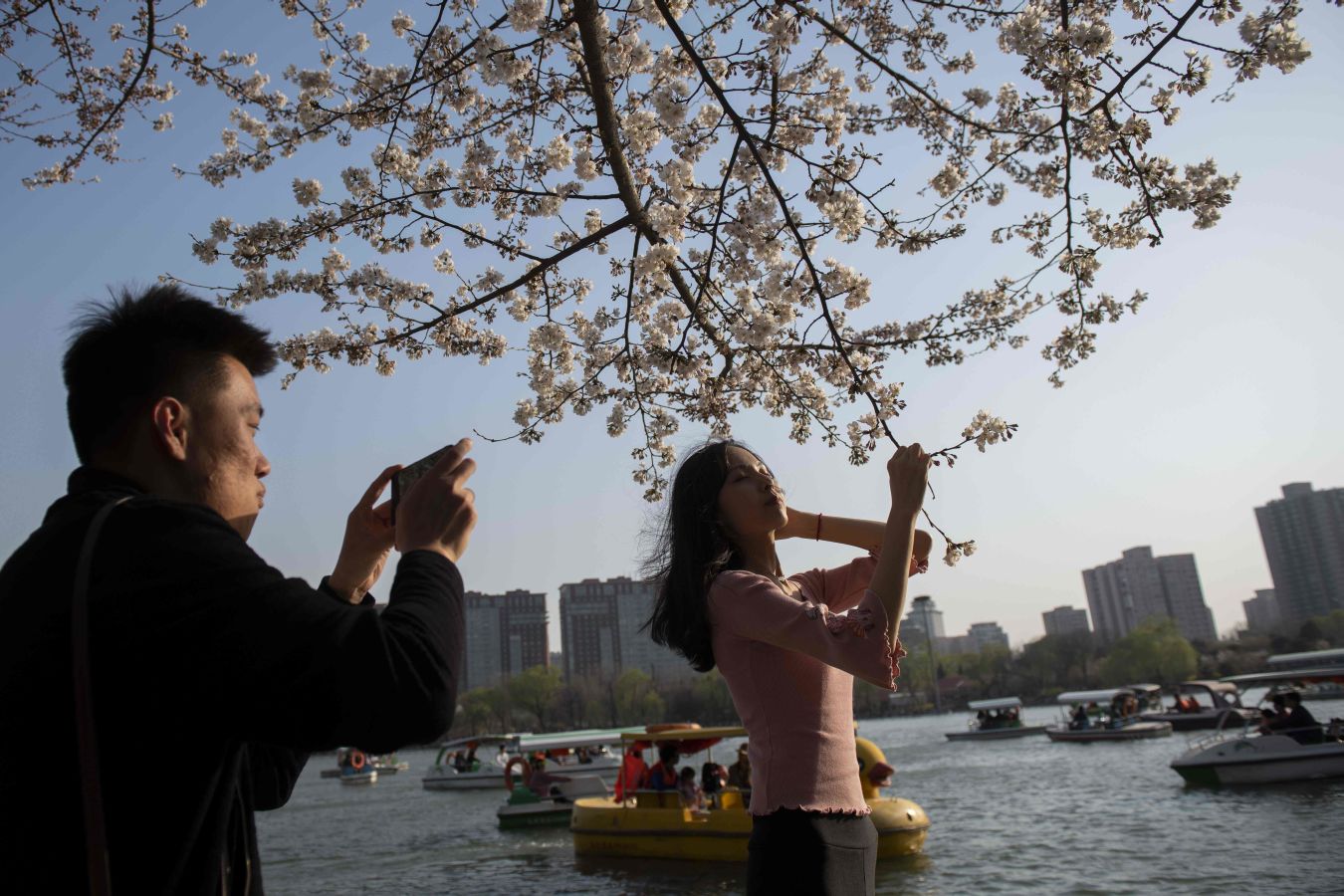 Fotos: Los cerezos comienzan a florecer en China | El Diario Vasco