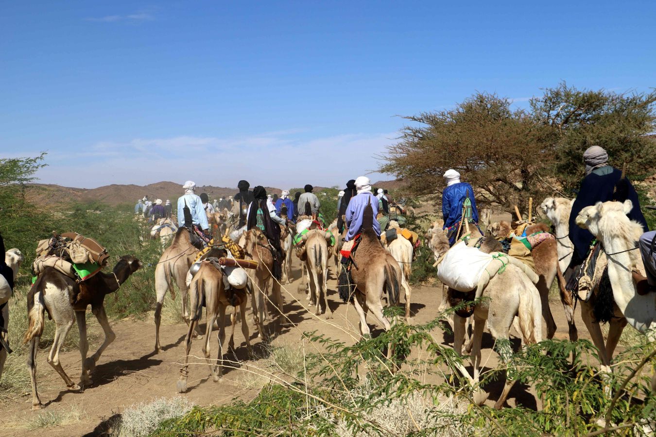 Peregrinación touareg a Iferouane, Níger | El Diario Vasco