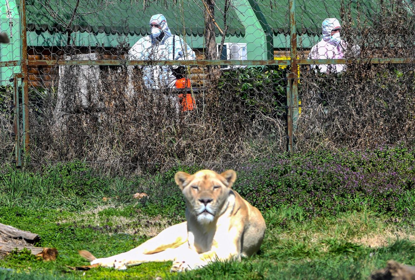 Fotos: Cuarentena en el zoo | El Diario Vasco