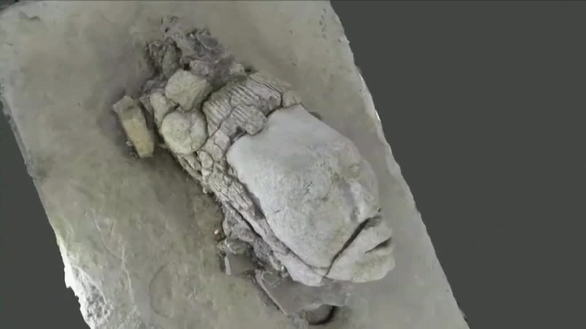 México descubre una nueva cabeza en el sitio arqueológico de Palenque ...