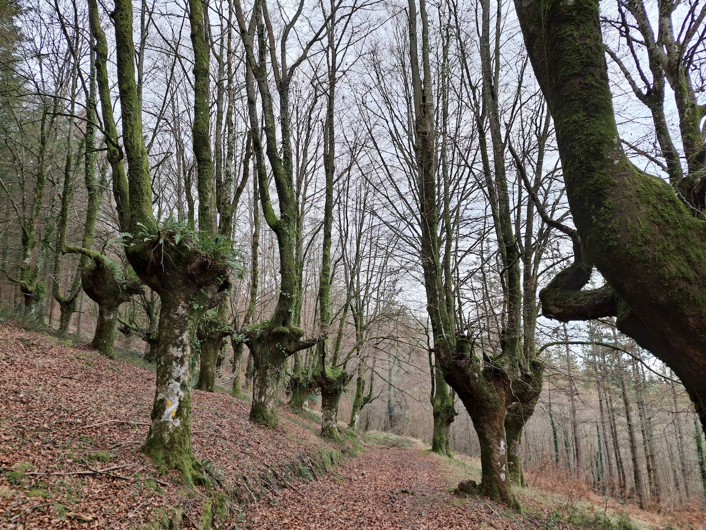 Una cima con historia | El Diario Vasco