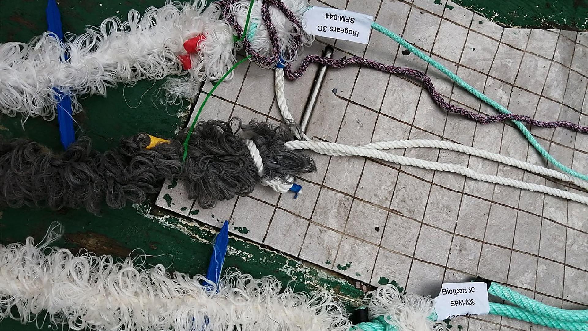 Pasaia: Azti coordina el desarrollo de cuerdas 'bio' para una ...