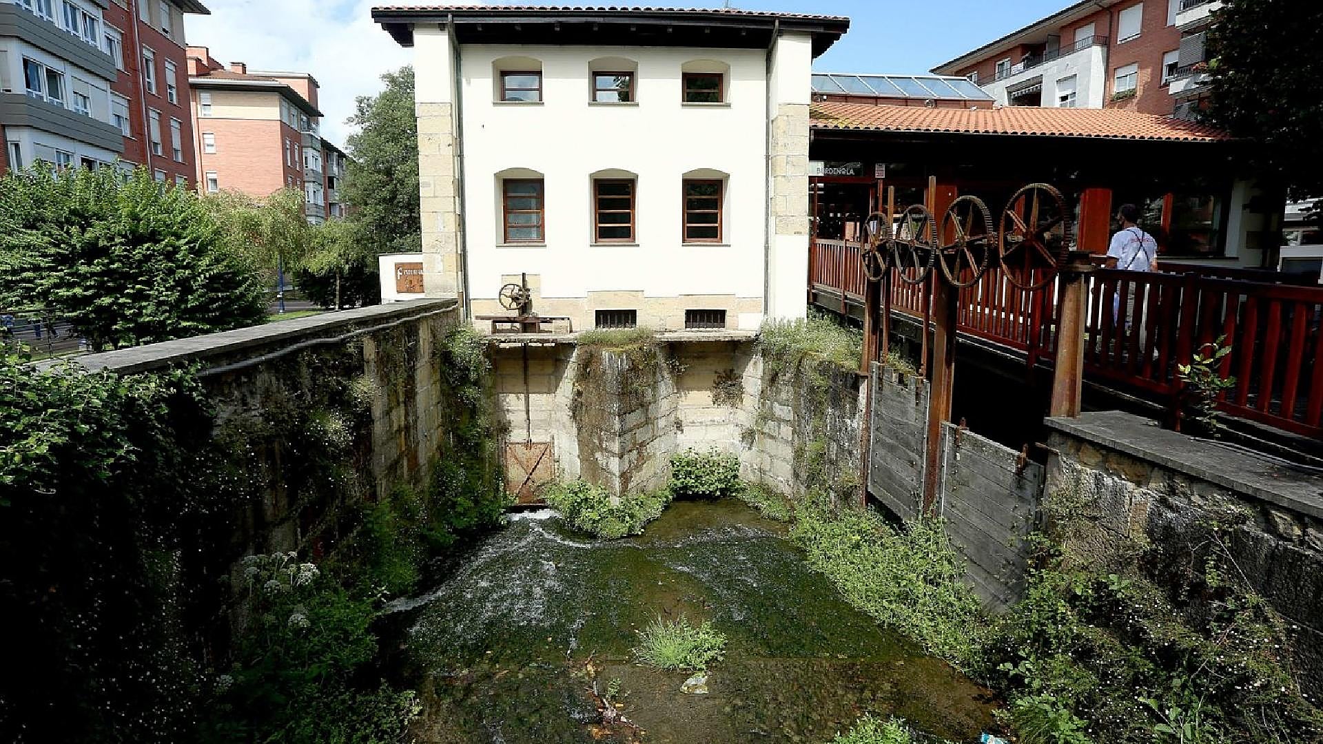 Errenteria: Salida gratuita para descubrir la biodiversidad de ...