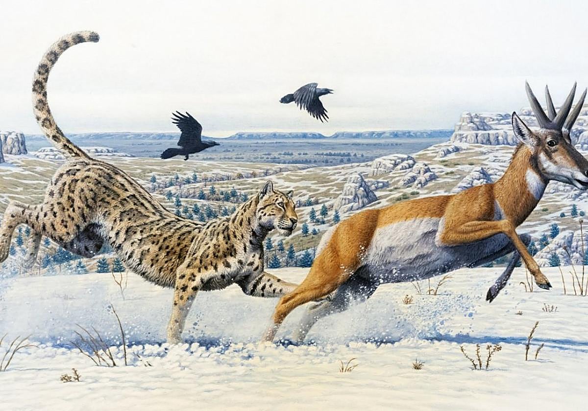 El paleoartista Mauricio Antón muestra la fauna prehistórica en el Laboratorium | El Diario Vasco