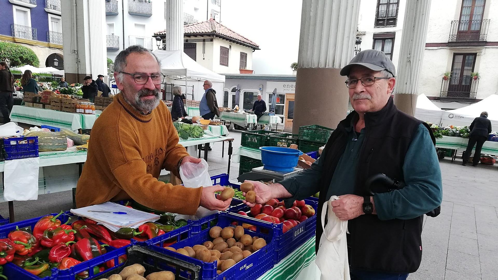 Urrutiko jatorria duen fruta da, baina Araman ere ekoizten da kiwia ...