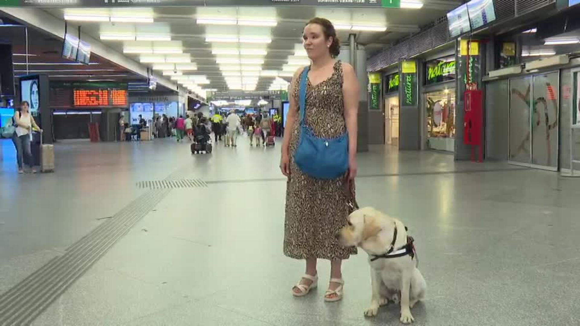 Así "trabajan" los perros guía de la ONCE | El Diario Vasco