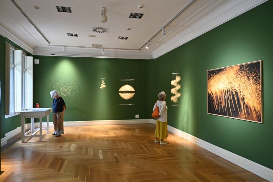 Las esculturas vegetales de María Cueto | El Diario Vasco