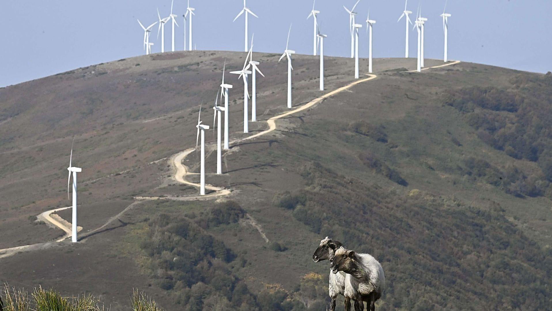 Elduain - Últimas noticias de Elduain en El Diario Vasco