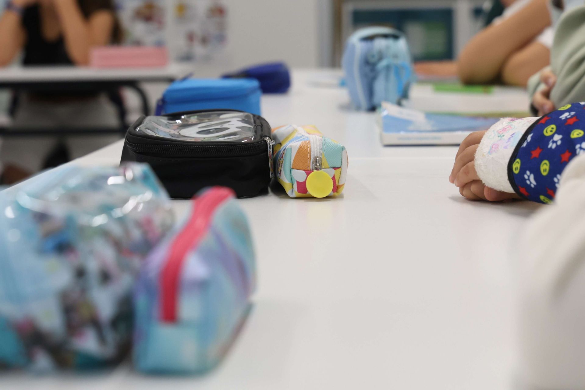 PNV, PSE y EH Bildu acuerdan «actualizar» el mapa escolar del sistema ...