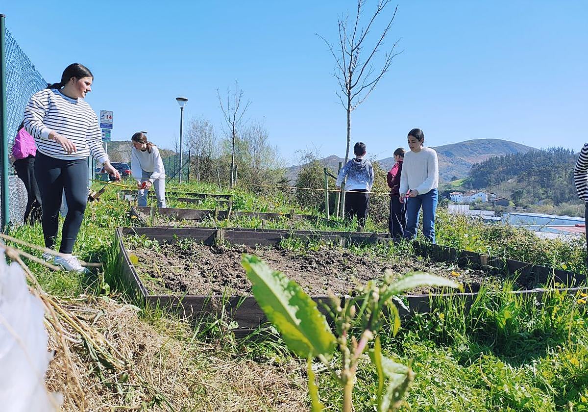 Eremuka lanean: gure baratza diseinatzen | El Diario Vasco