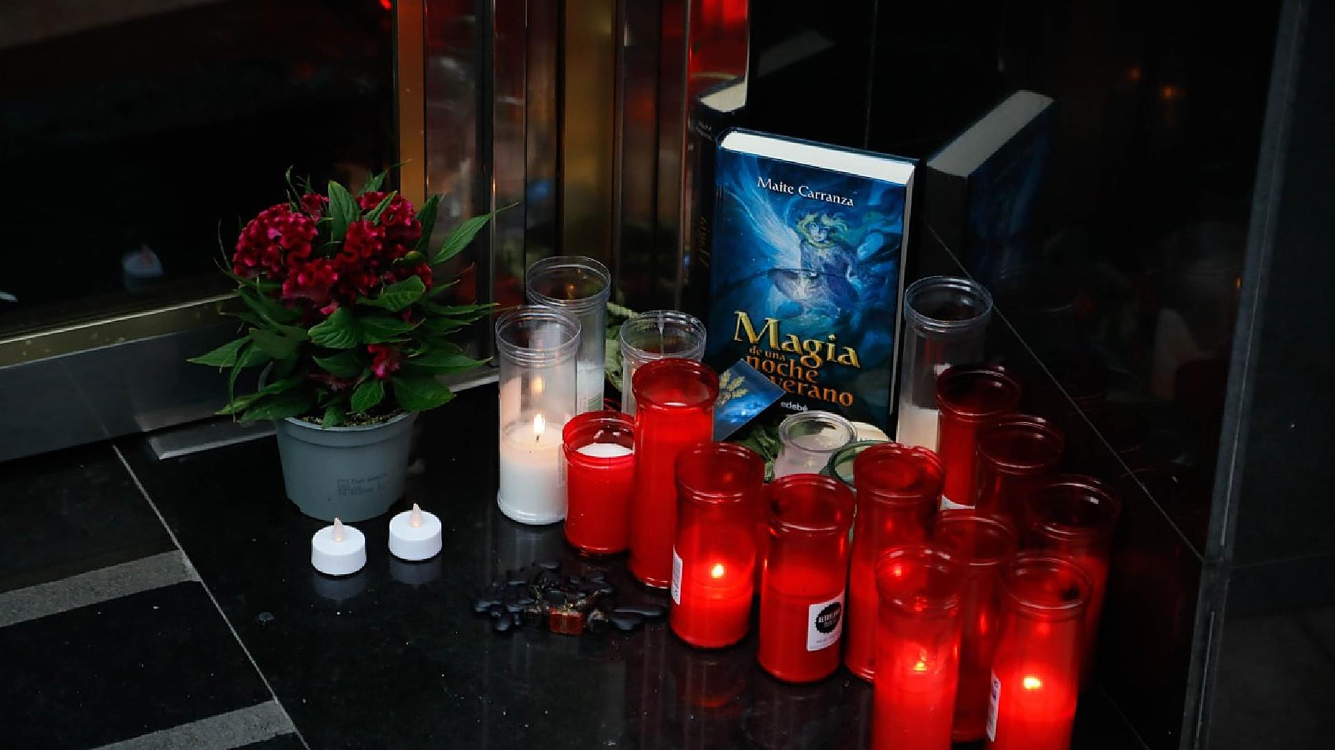 Muerte de dos hermanas en Oviedo: La familia de las mellizas pide «que este hecho tan trágico no ...