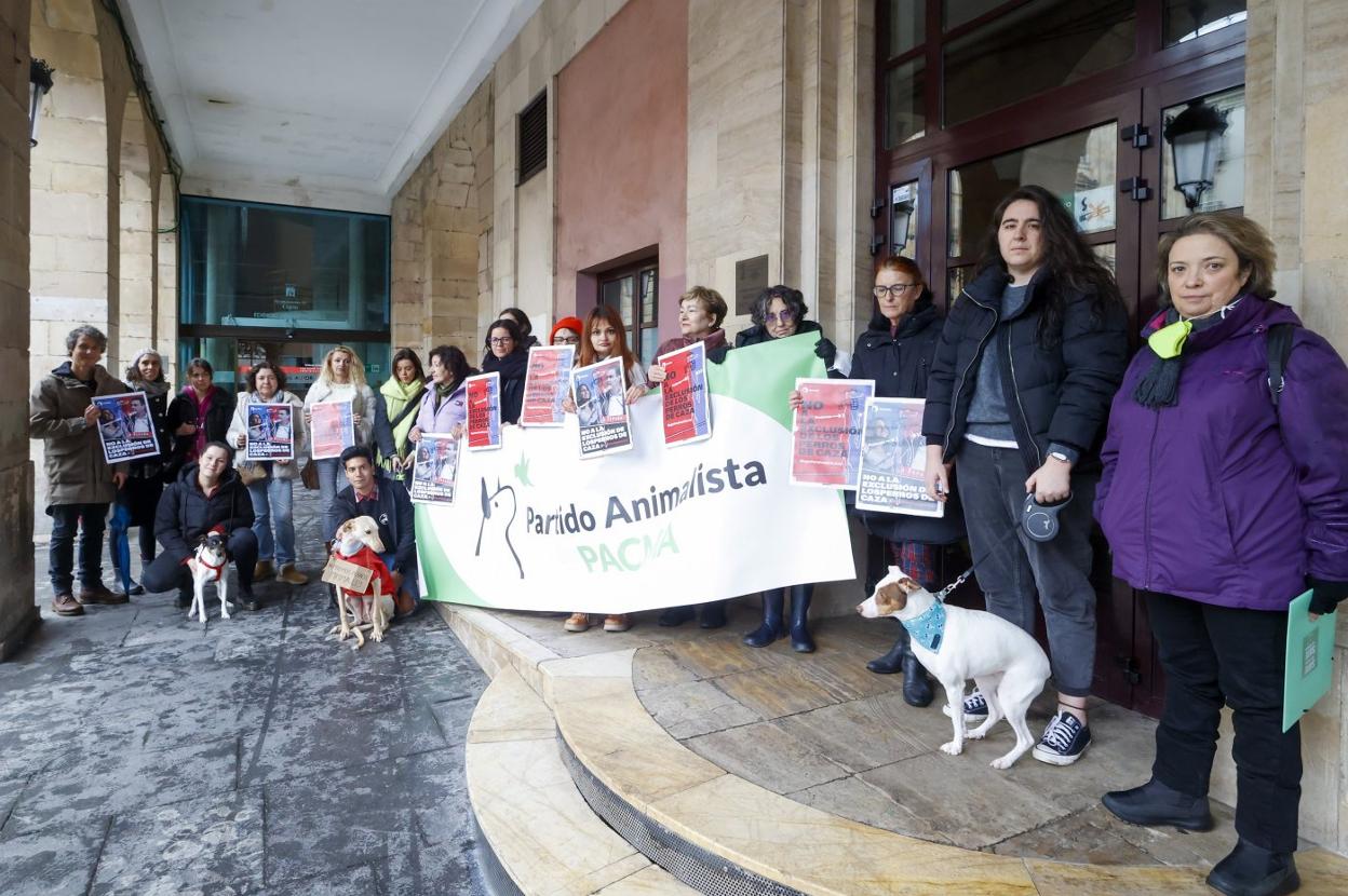 Protesta de PACMA en la plaza Mayor | El Comercio: Diario de Asturias Protesta de PACMA en la plaza Mayor | El Comercio: Diario de Asturias
