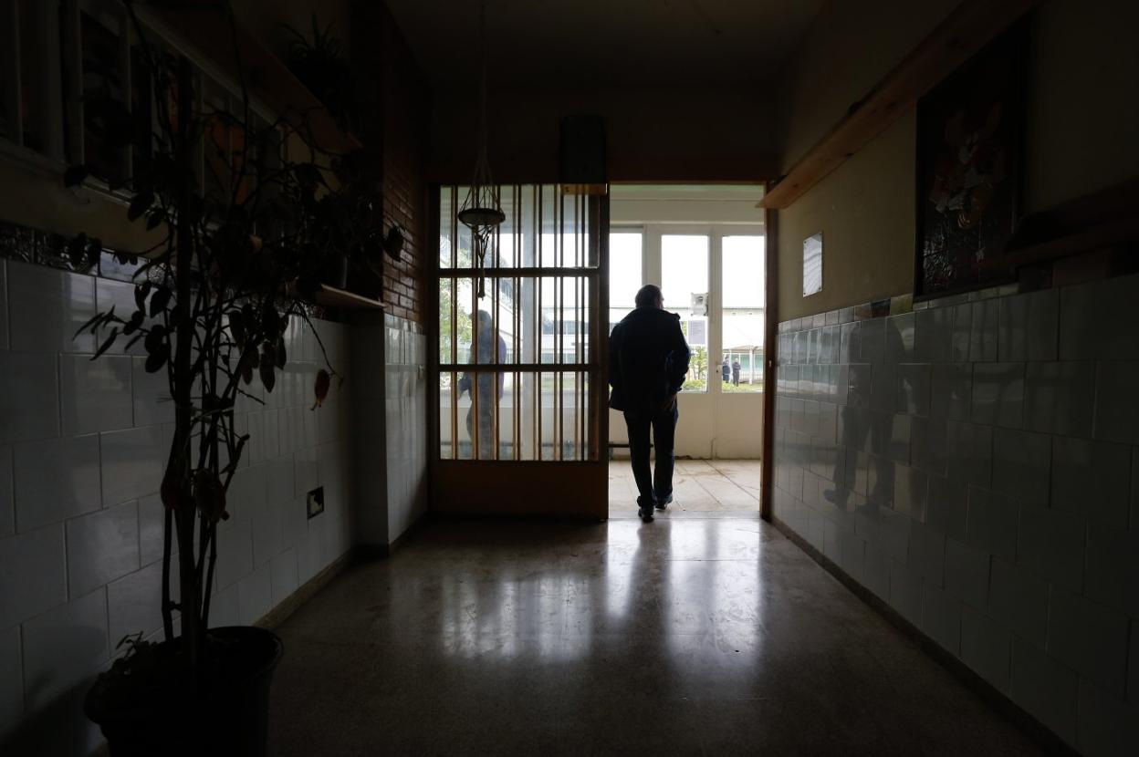 Interior sopesa usar perros para evitar la entrada de droga en la ...