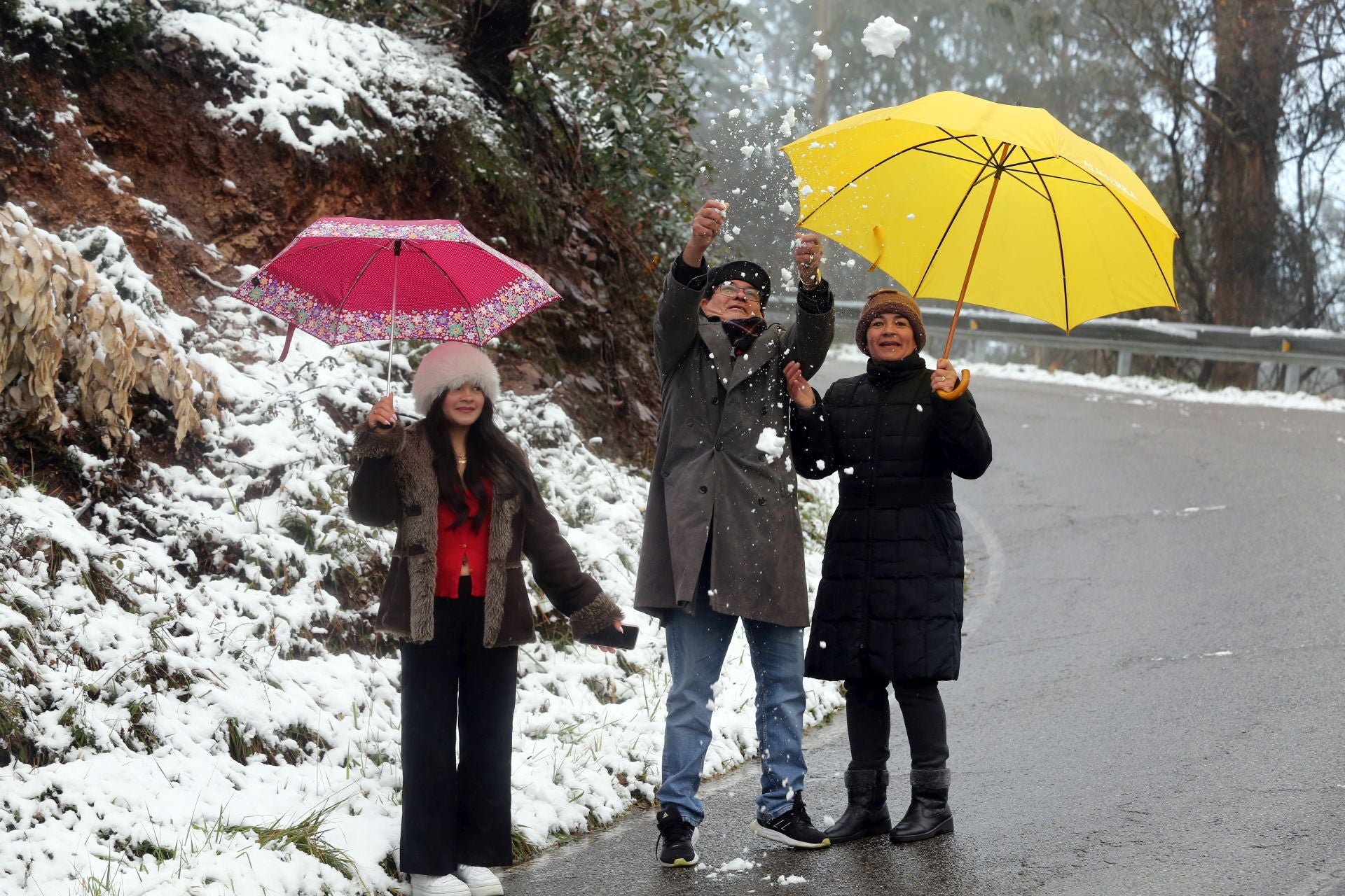 La nieve llega al monte Naranco: la estampa que conquista a los ...
