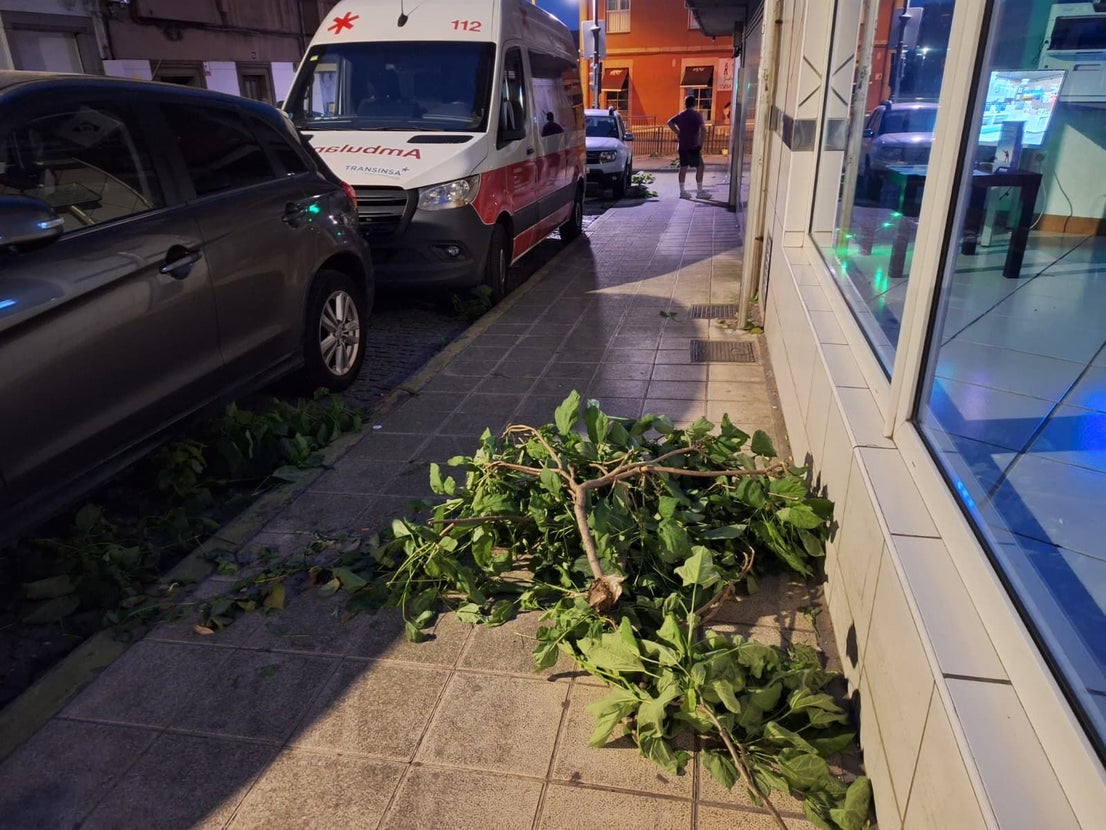 Los estragos del viento en Avilés | El Comercio: Diario de Asturias