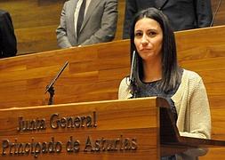 Elsa Pérez ya es diputada por el PSOE | El Comercio: Diario de Asturias