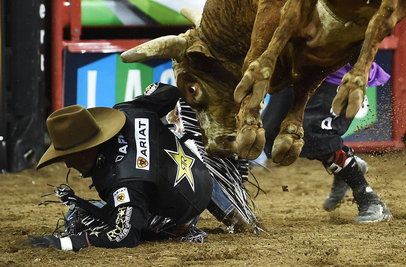 Toros salvajes en un rodeo en Nueva York | El Correo