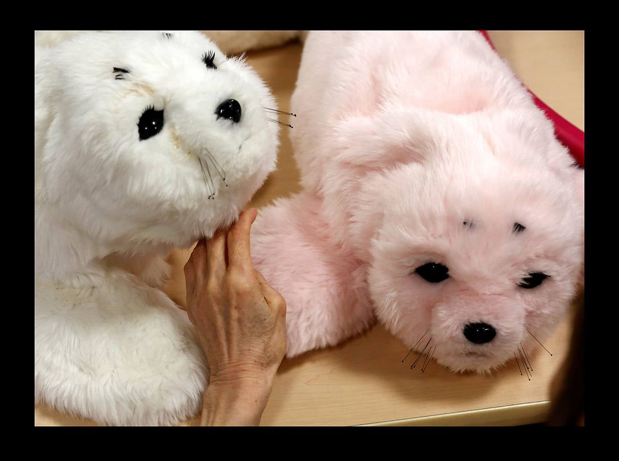 Fotos: Compañero robot | El Correo