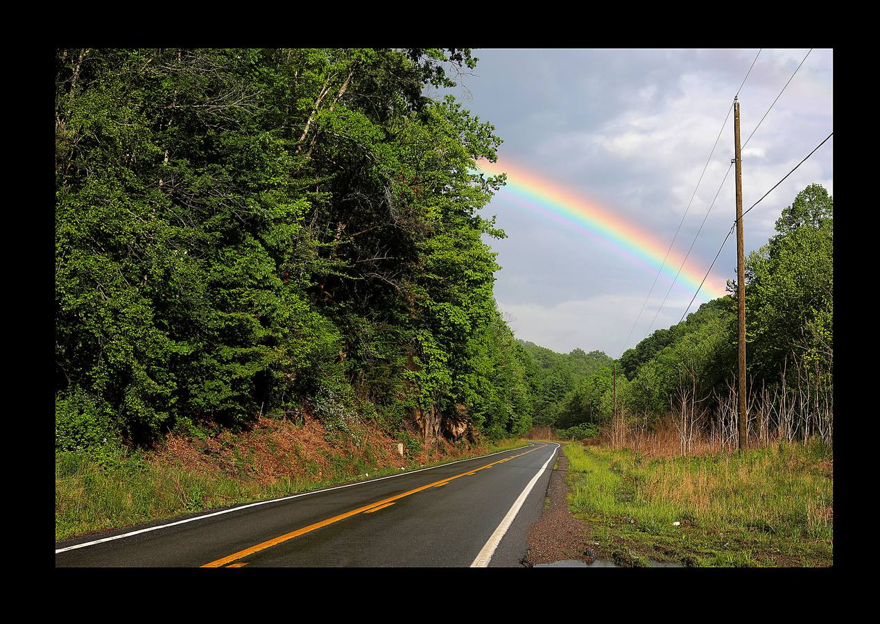 Fotos: Pulmón negro | El Correo
