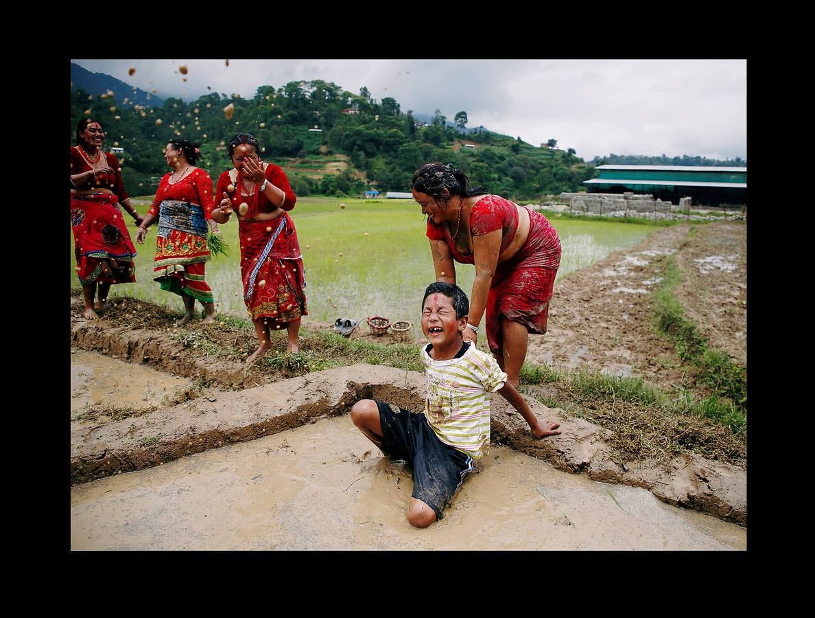 Fotos: La fiesta del arroz | El Correo