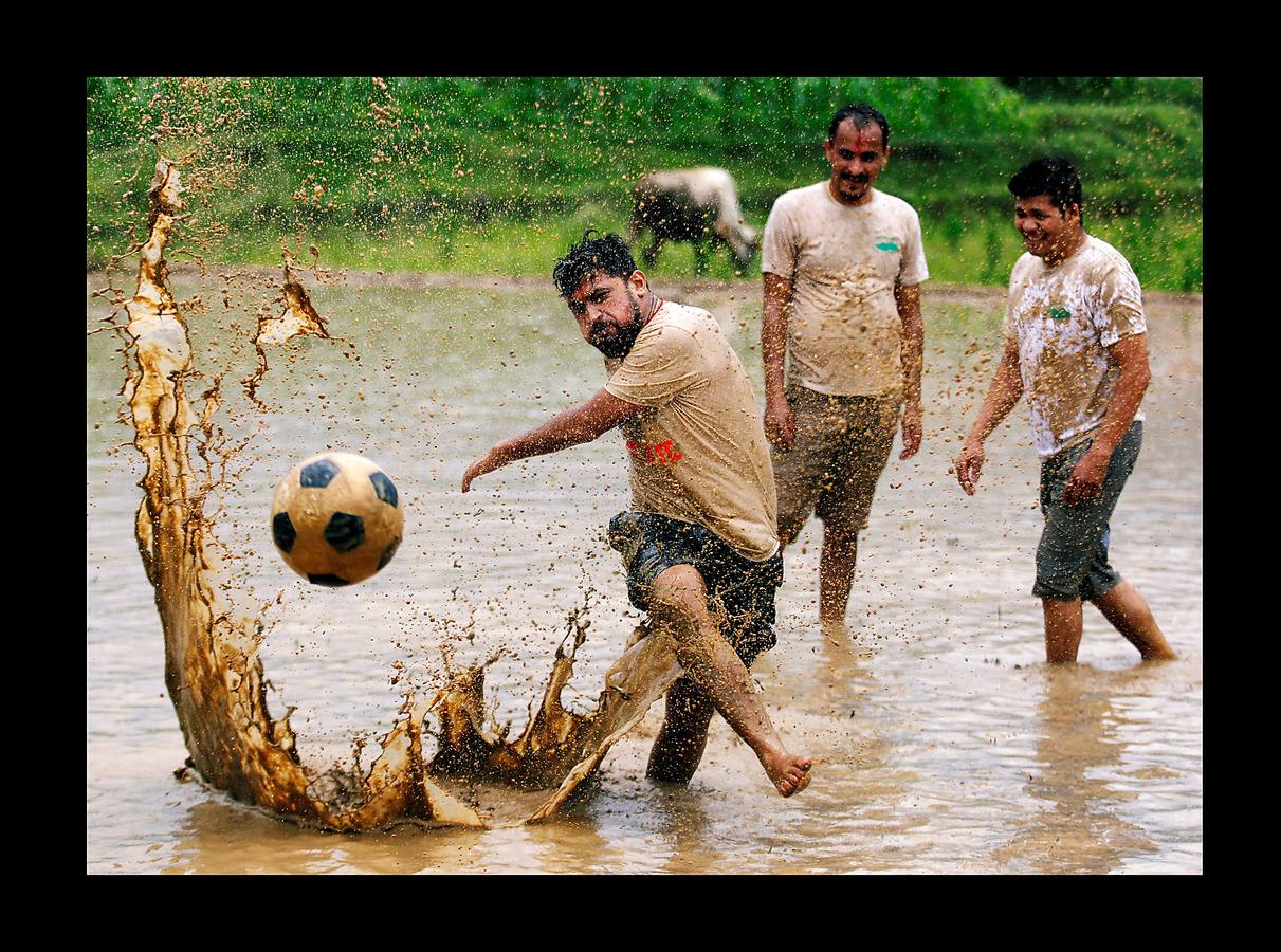 Fotos: La fiesta del arroz | El Correo