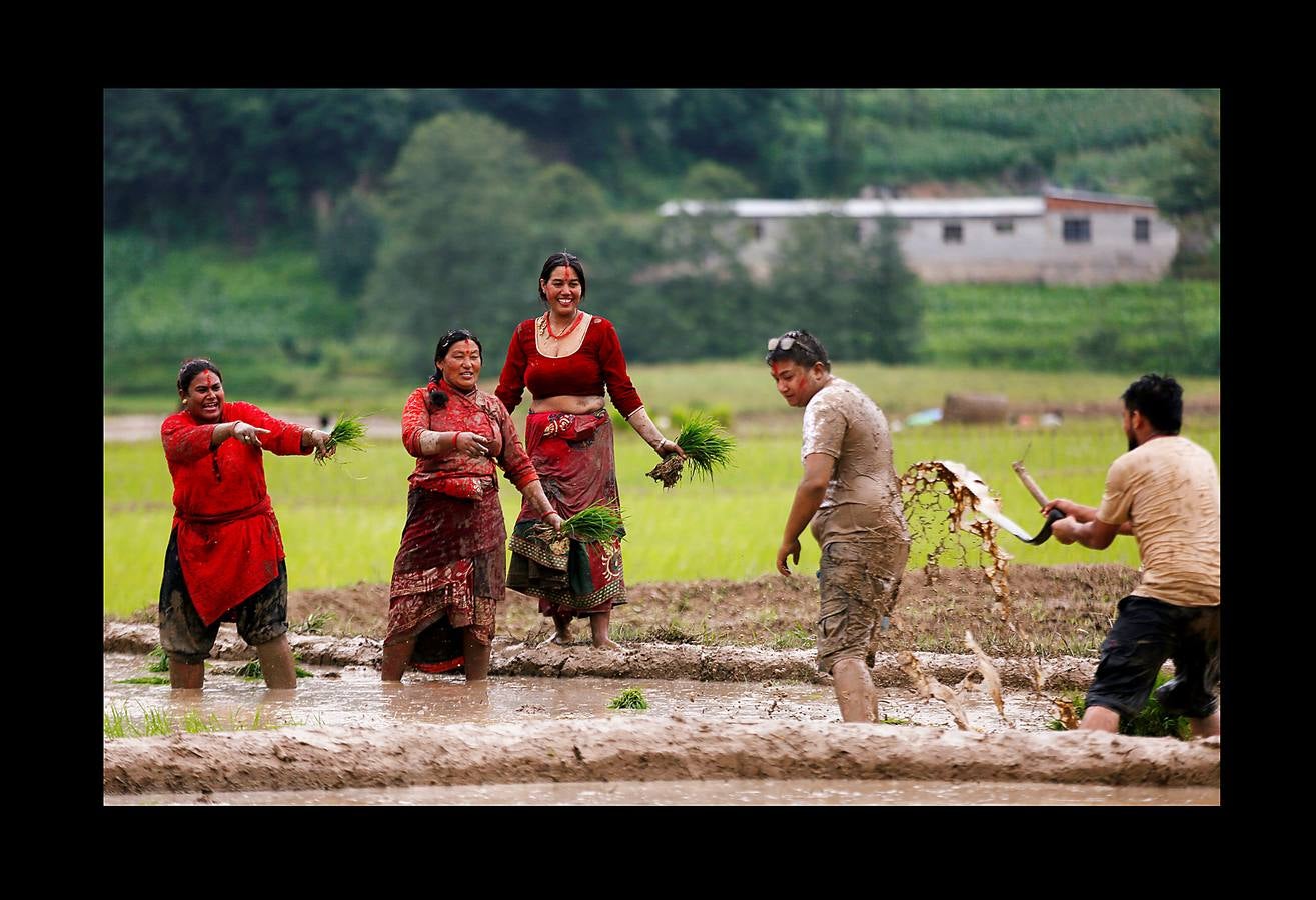 Fotos: La fiesta del arroz | El Correo