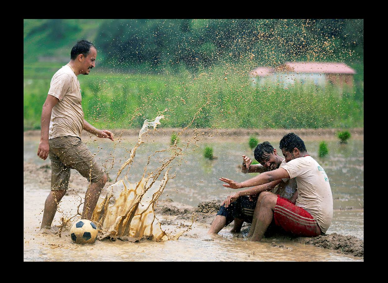 Fotos: La fiesta del arroz | El Correo
