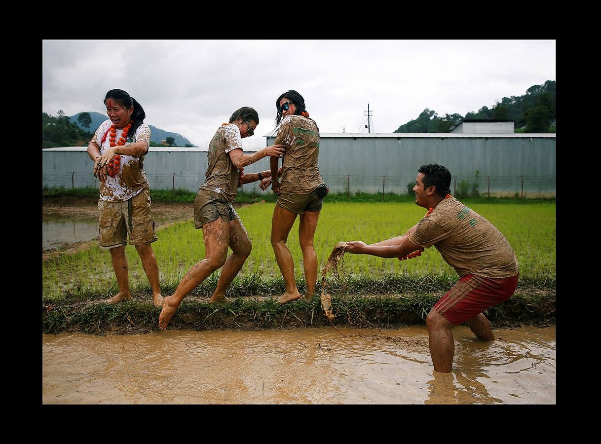 Fotos: La fiesta del arroz | El Correo