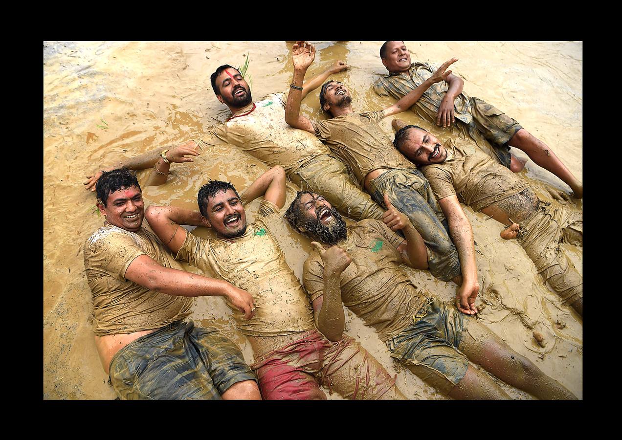 Fotos: La fiesta del arroz | El Correo