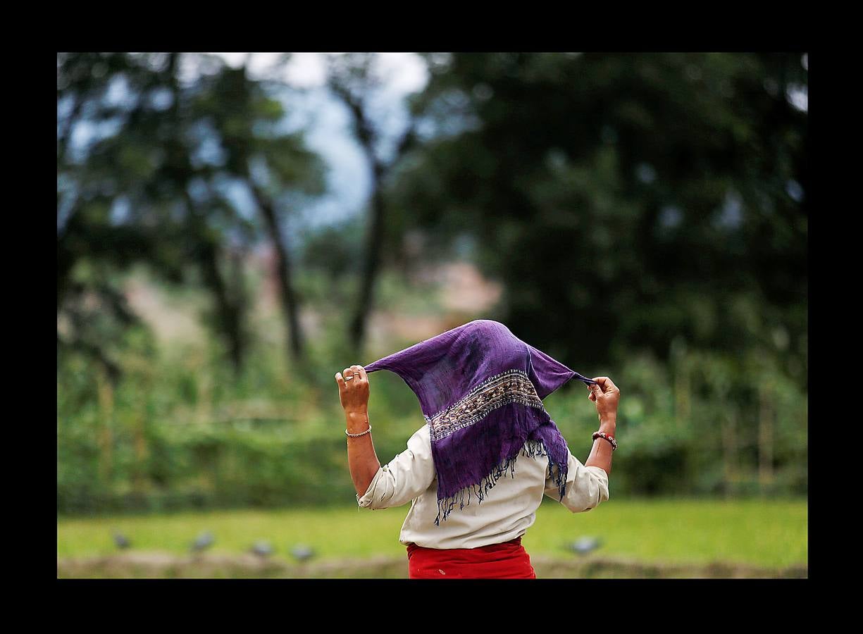 Fotos: La fiesta del arroz | El Correo