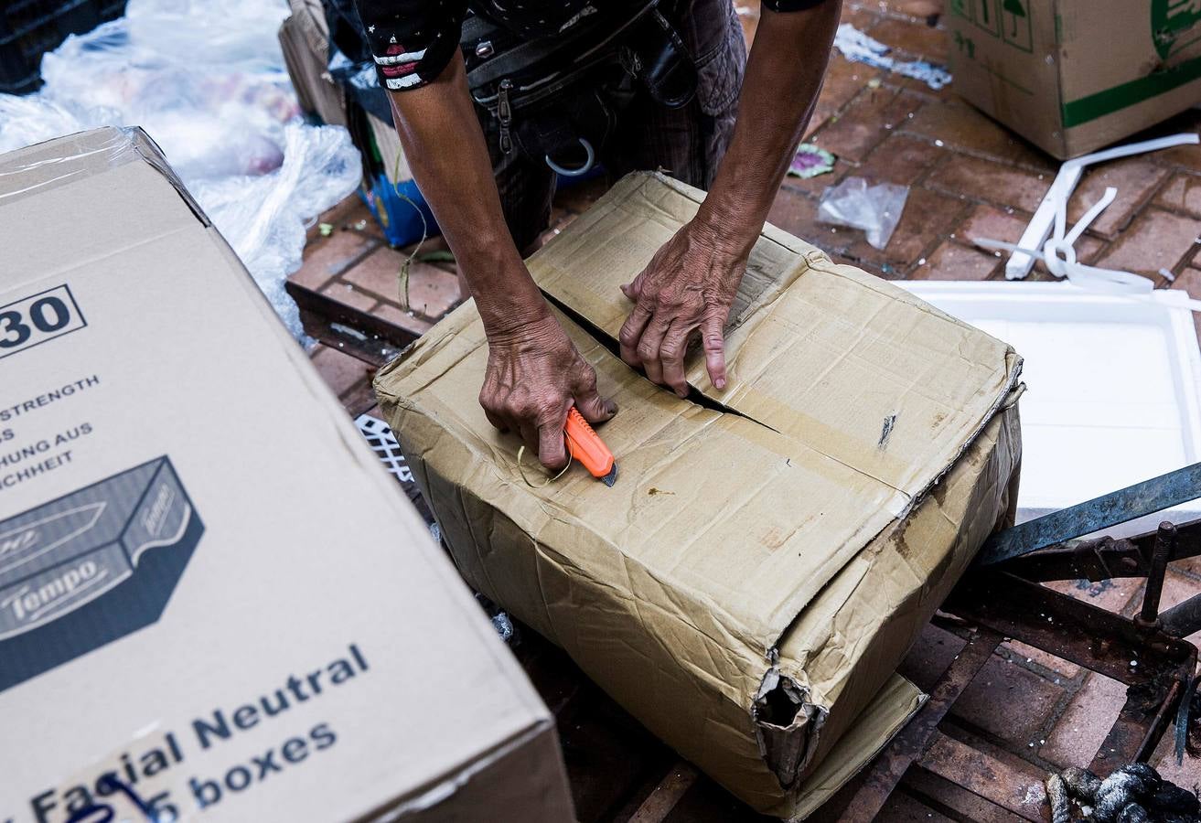 Fotos: Una vida entre cartones | El Correo