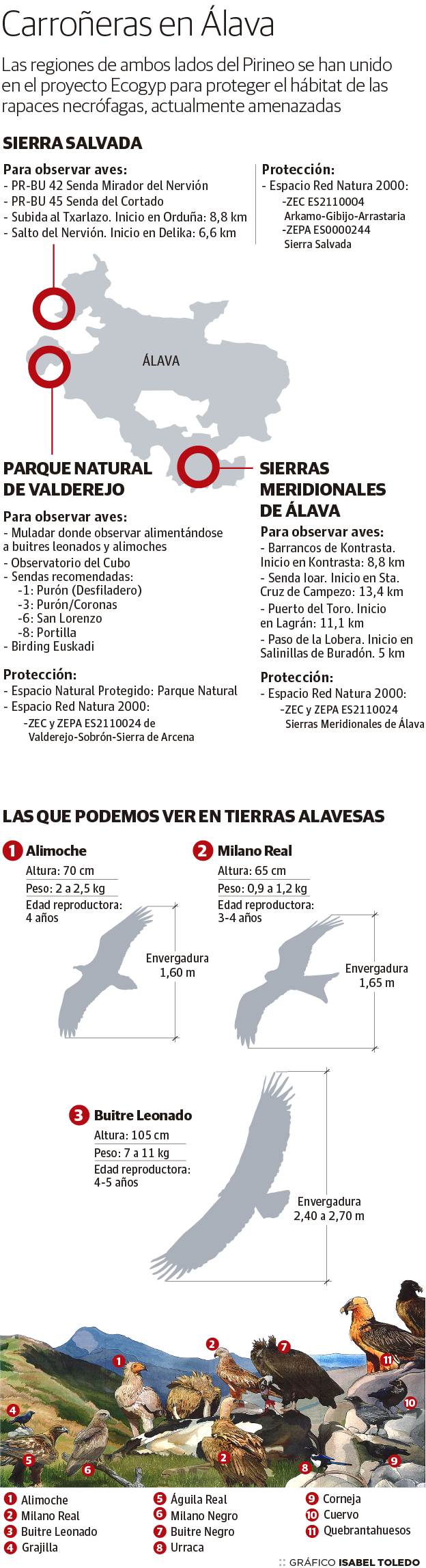 La importancia de ser carroñeras | El Correo