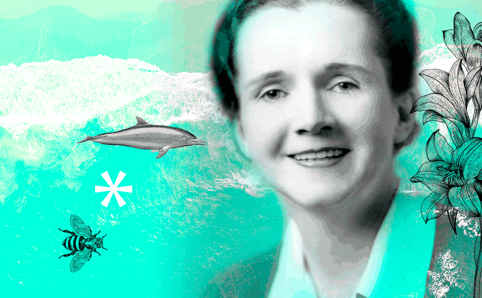 Rachel Carson, la bióloga marina que despertó la conciencia ambiental ...