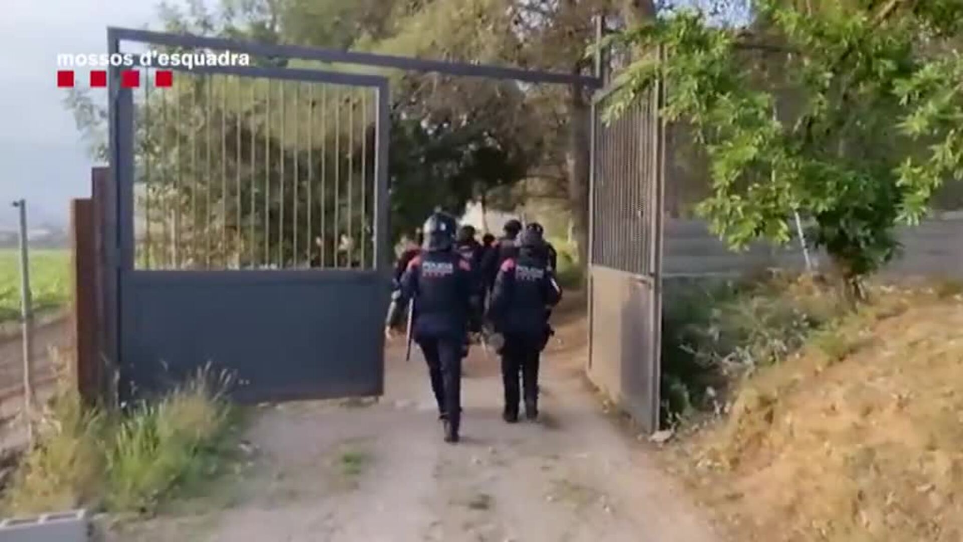 Los Mossos d'Esquadra detienen a cinco personas y desmantelan dos plantaciones de marihuana en ...