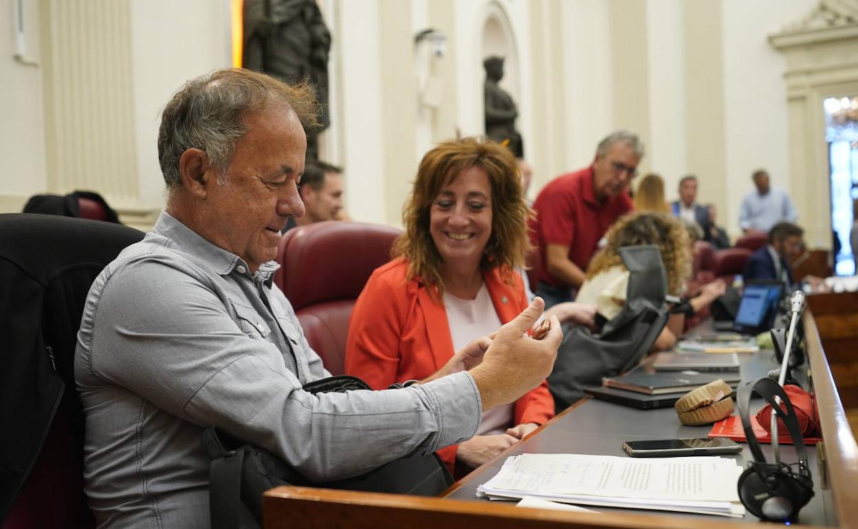 EH Bildu reconoce que «hay que acelerar las renovables» en Álava pero ...