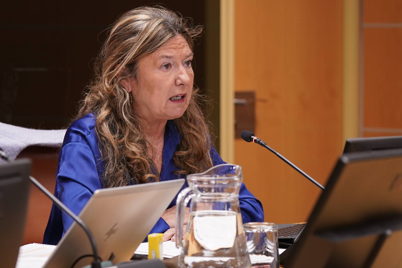 La comparecencia de Gotzone Sagardui, en directo | El Correo